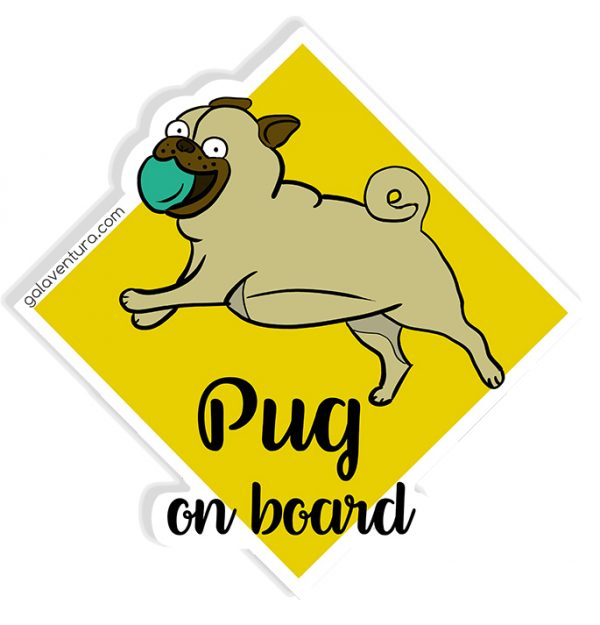 Pug on board - Galaventura
